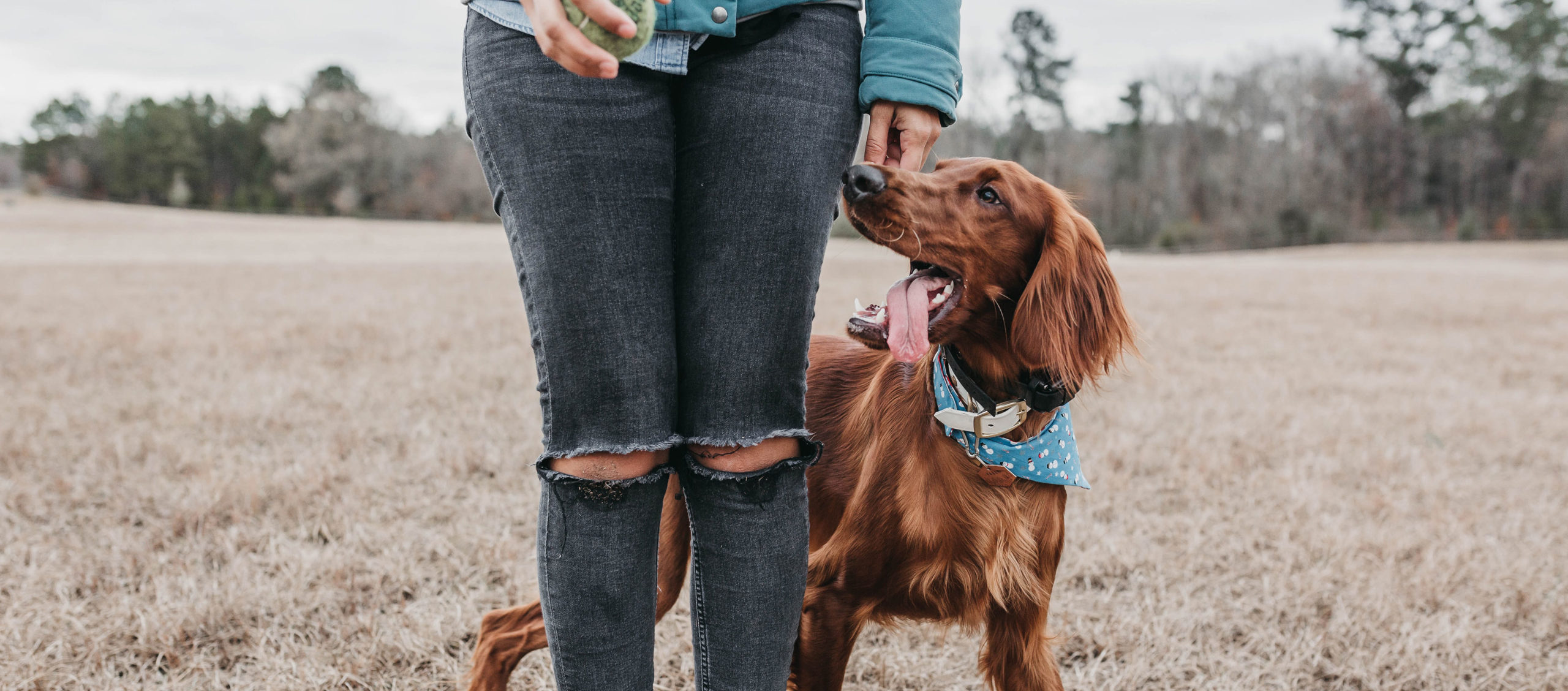 Federal Service Dog Registration – Emotional Support Dog Registration