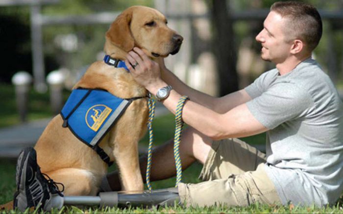 FREE SERVICE DOG REGISTRATION – Federal Service Dog Registration